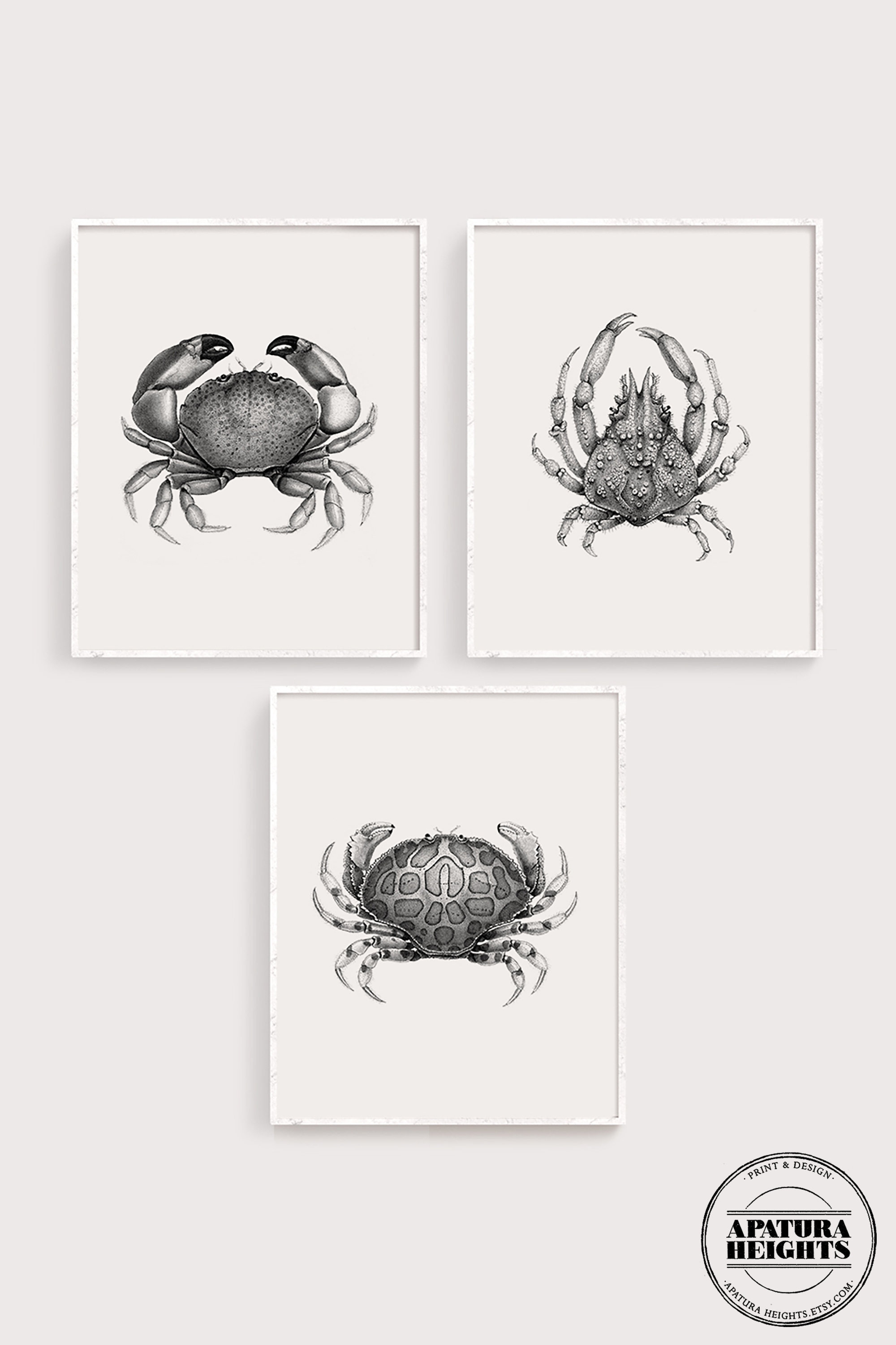 Set of 3 Crab Prints, Beach and Ocean Wall Art, Crab Trio, Coastal ...