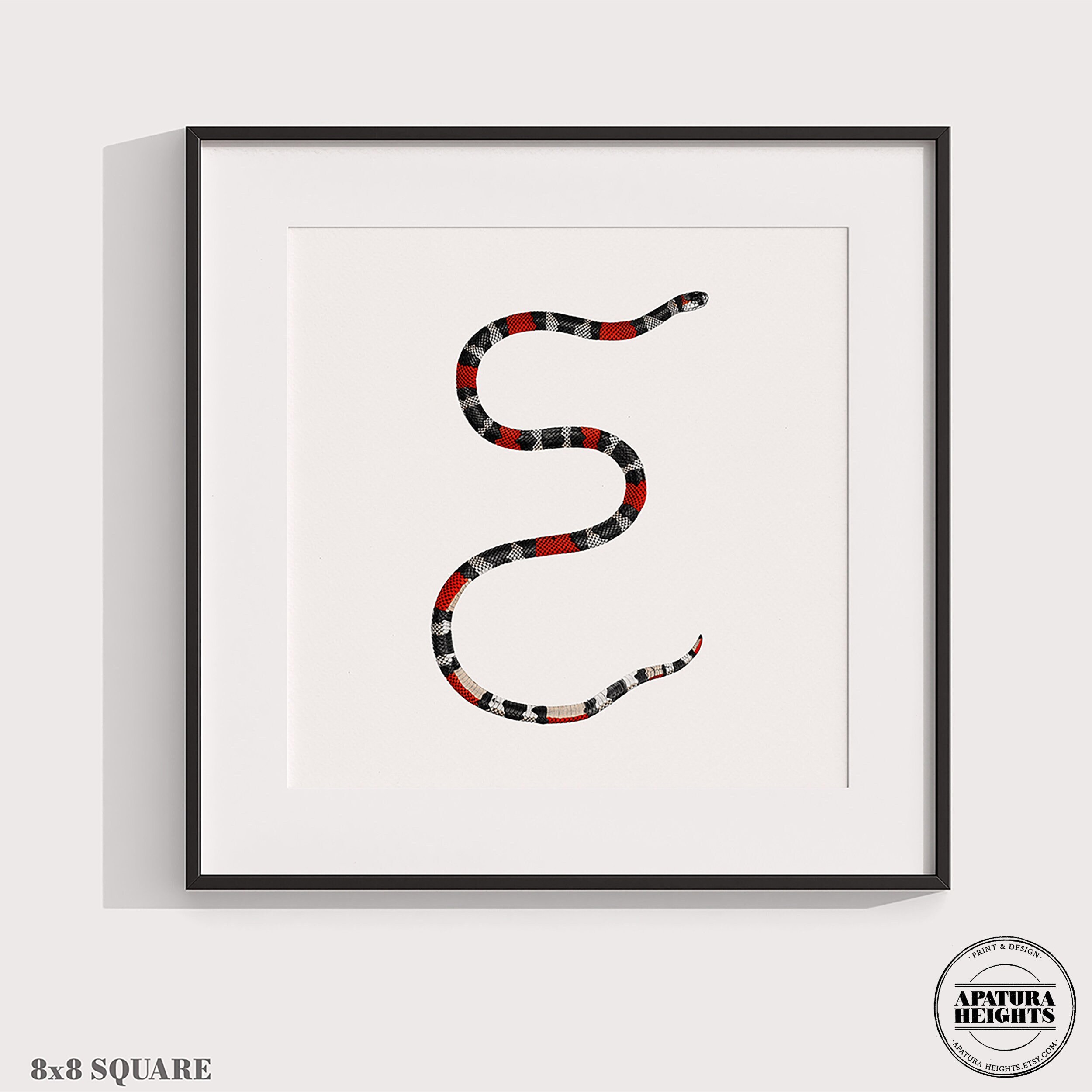 Coral Snake Print, Red Black and White Serpent Wall Art, Snake Poster ...