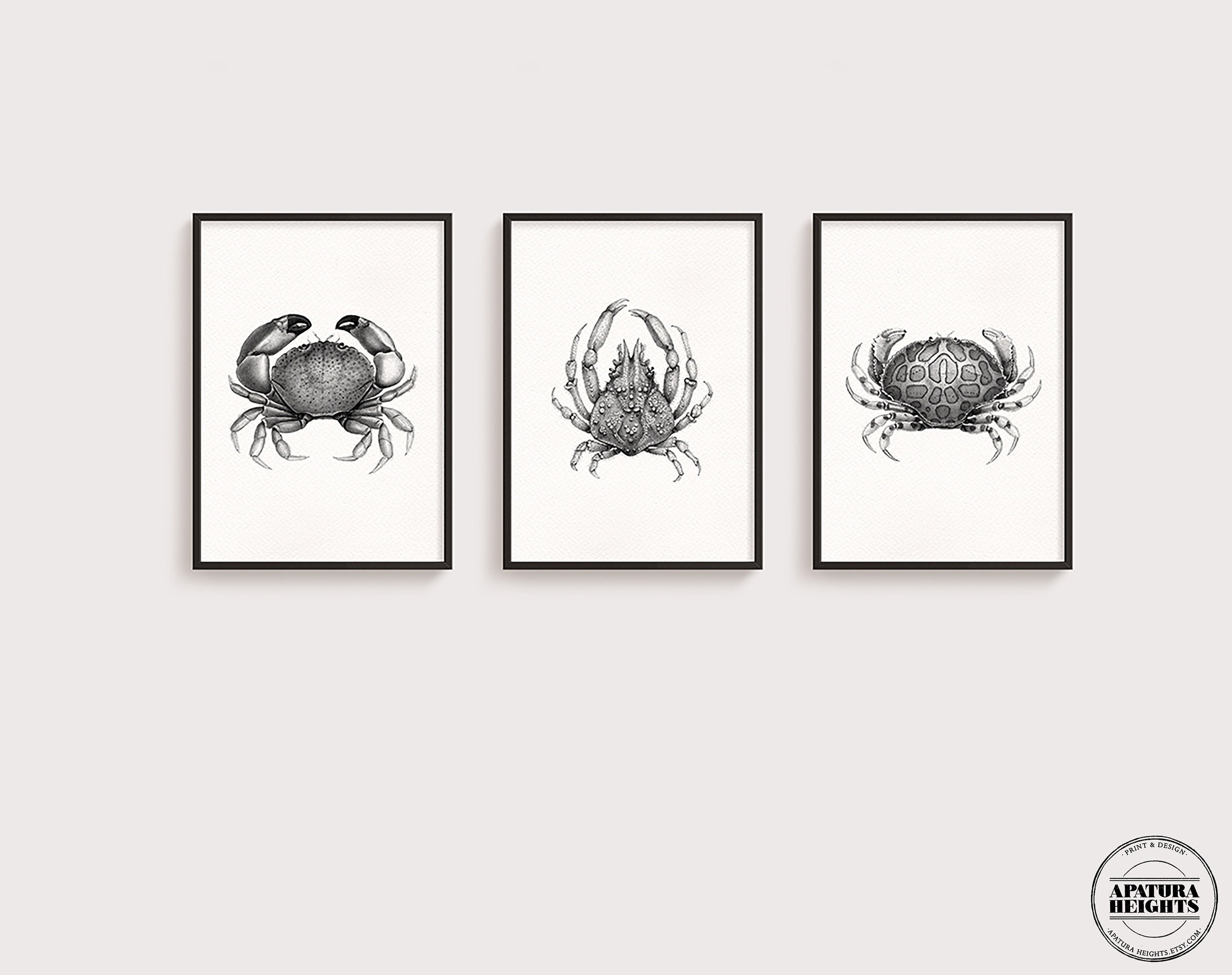Set of 3 Crab Prints, Beach and Ocean Wall Art, Crab Trio, Coastal ...