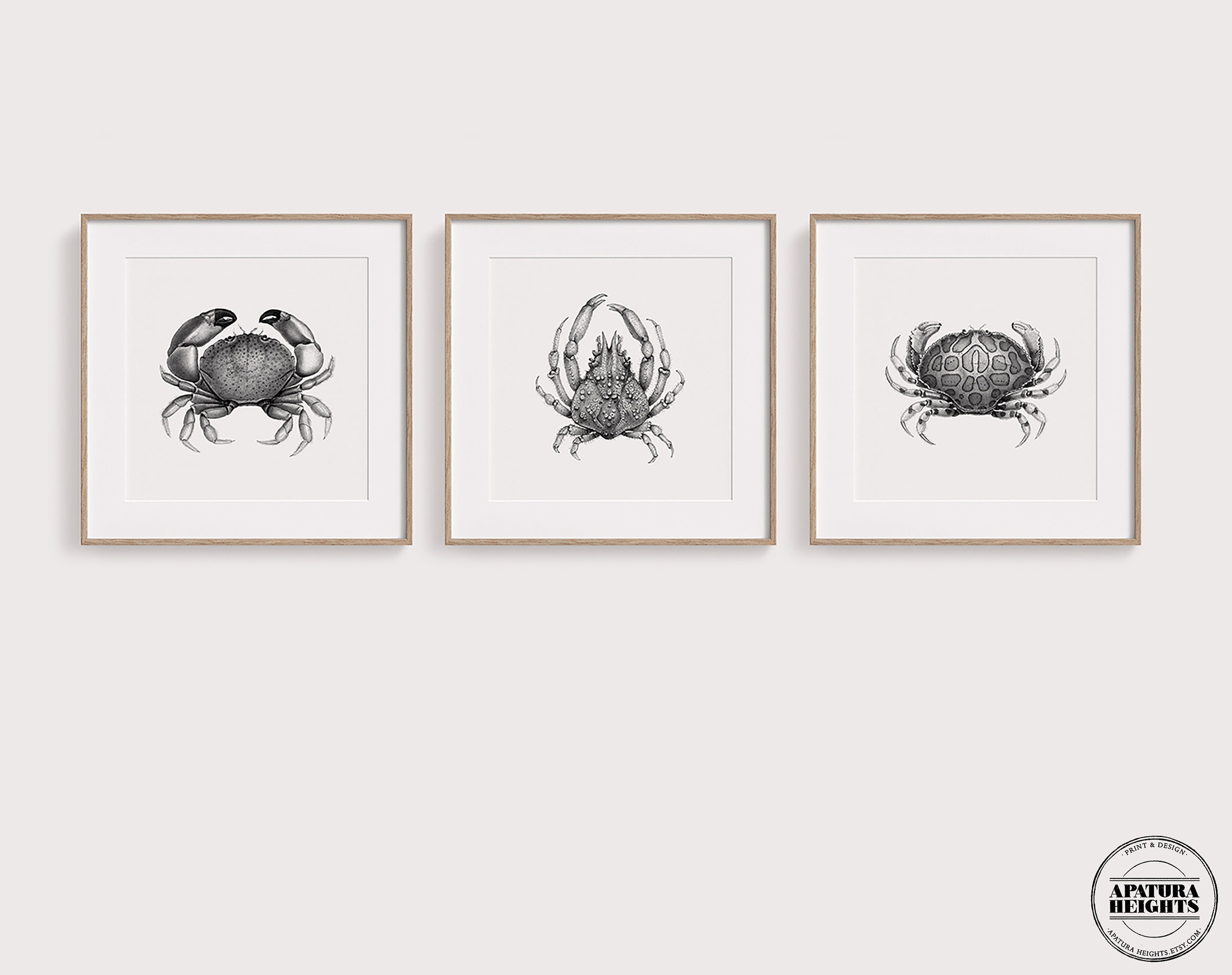 Set of 3 Crab Prints, Beach and Ocean Wall Art, Crab Trio, Coastal ...