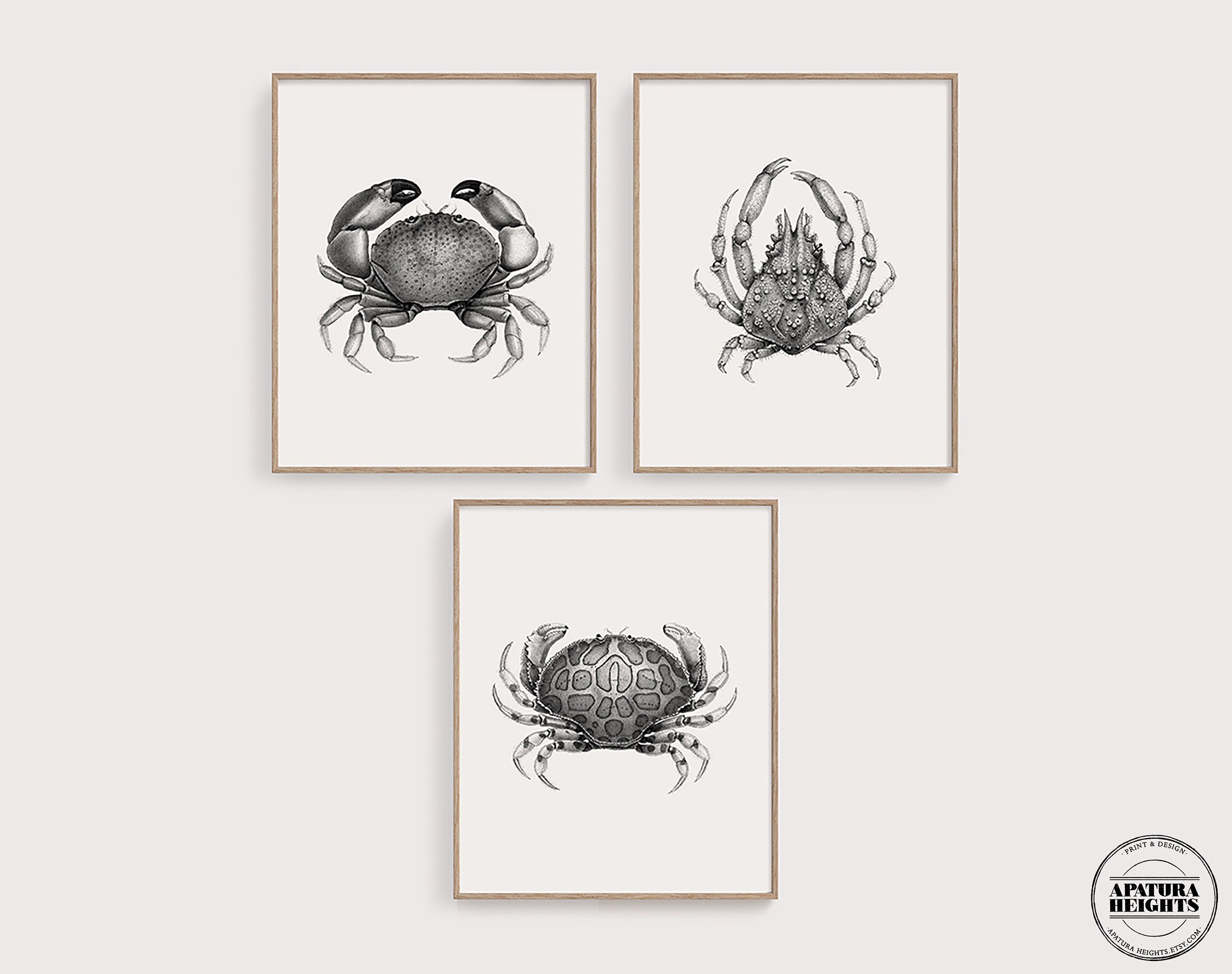 Set of 3 Crab Prints, Beach and Ocean Wall Art, Crab Trio, Coastal ...