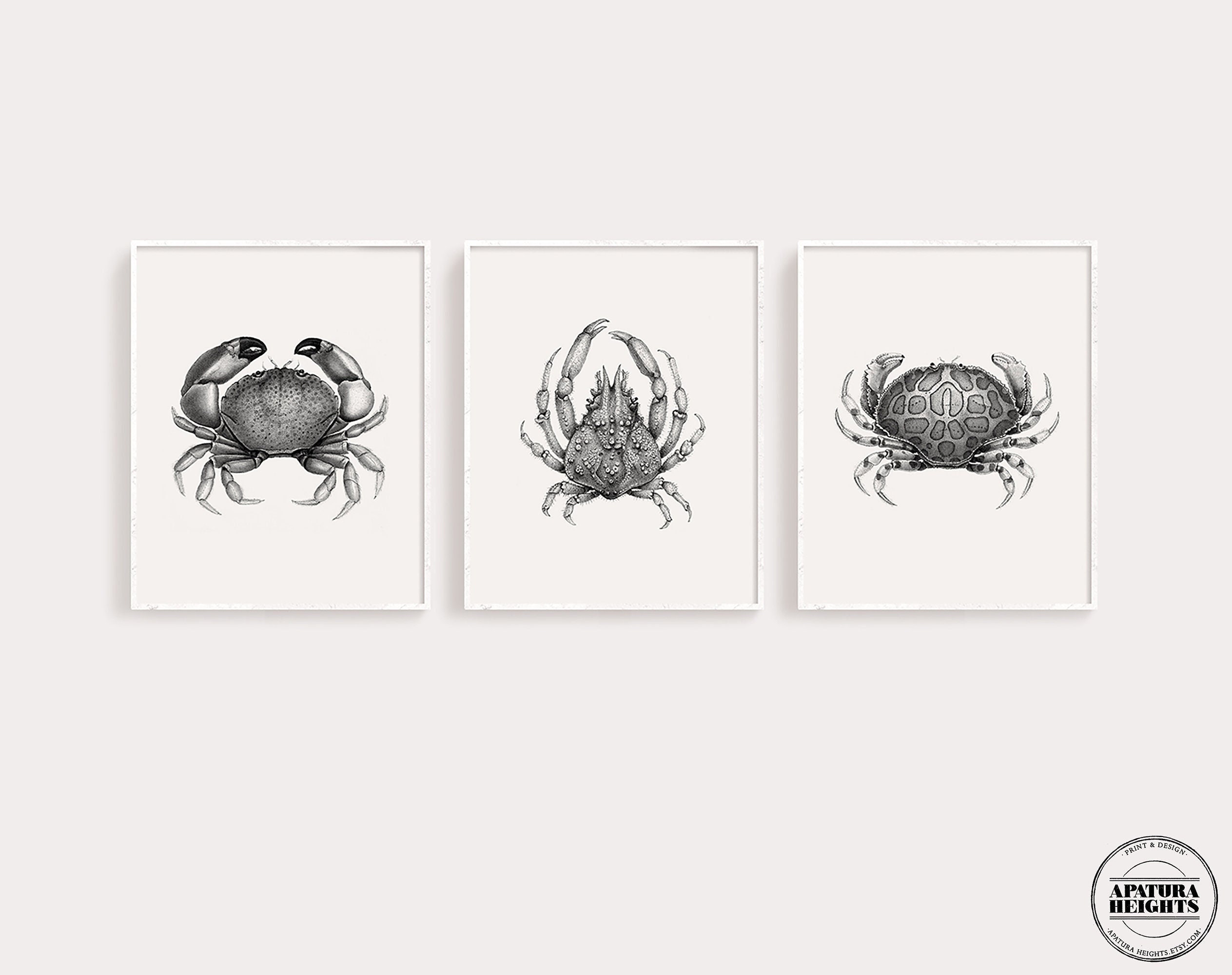 Set of 3 Crab Prints, Beach and Ocean Wall Art, Crab Trio, Coastal ...