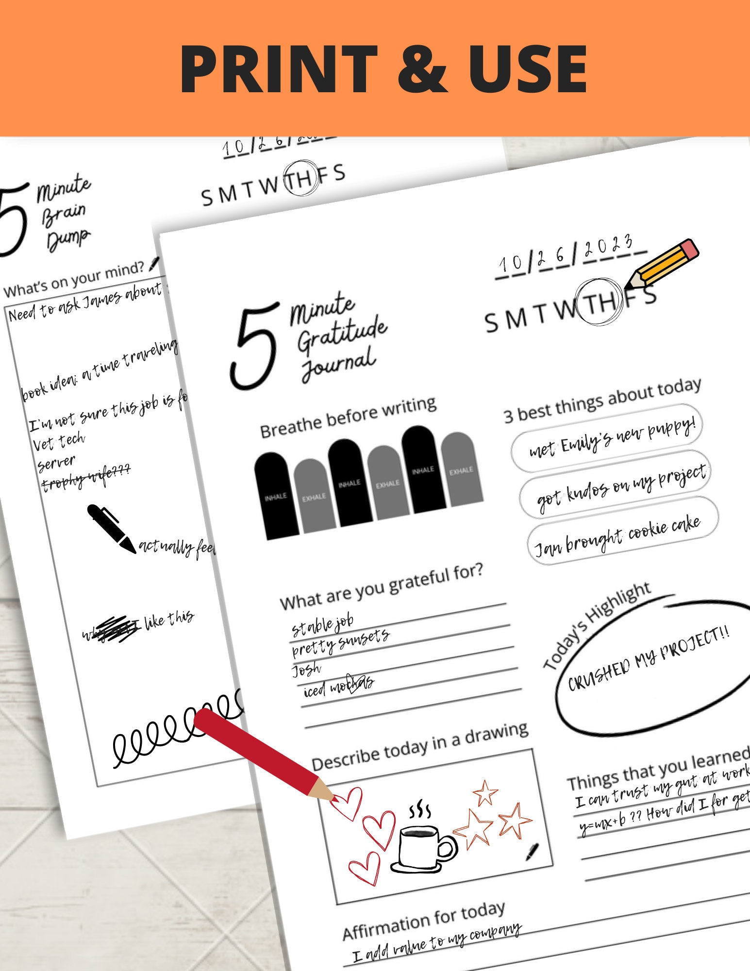 5 Minute Gratitude Journal & Brain Dump Cultivate an Attitude of ...