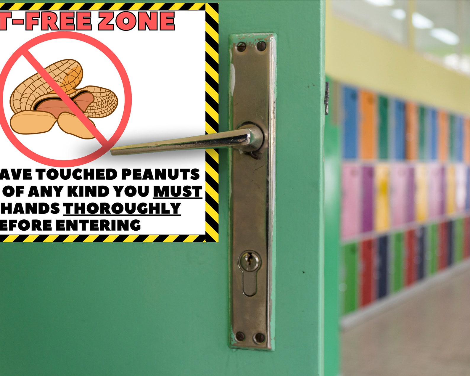 Nut Free Zone Poster Allergy Awareness Sign for Classrooms, Daycares ...