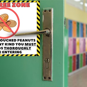 Nut Free Zone Poster Allergy Awareness Sign for Classrooms, Daycares ...