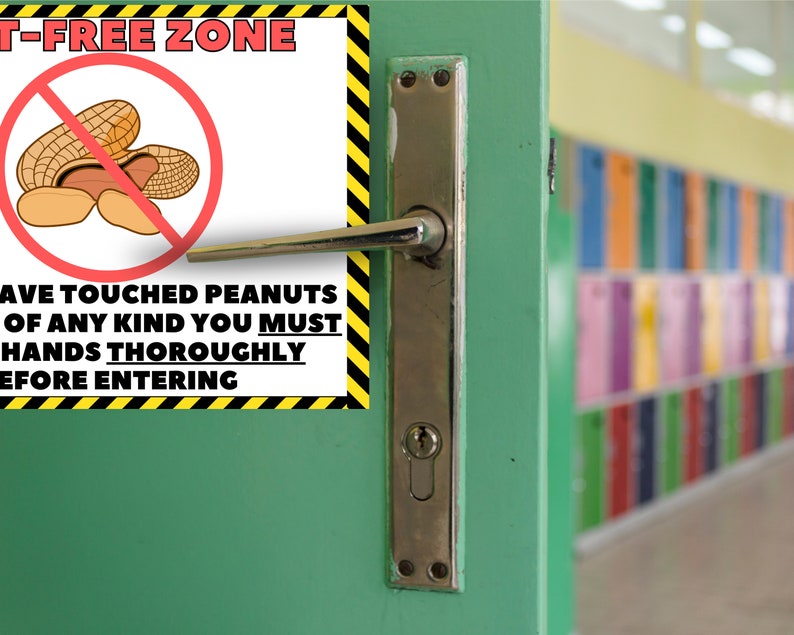Nut Free Zone Poster Allergy Awareness Sign for Classrooms, Daycares ...