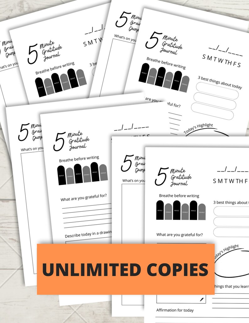 5 Minute Gratitude Journal & Brain Dump Cultivate an Attitude of ...