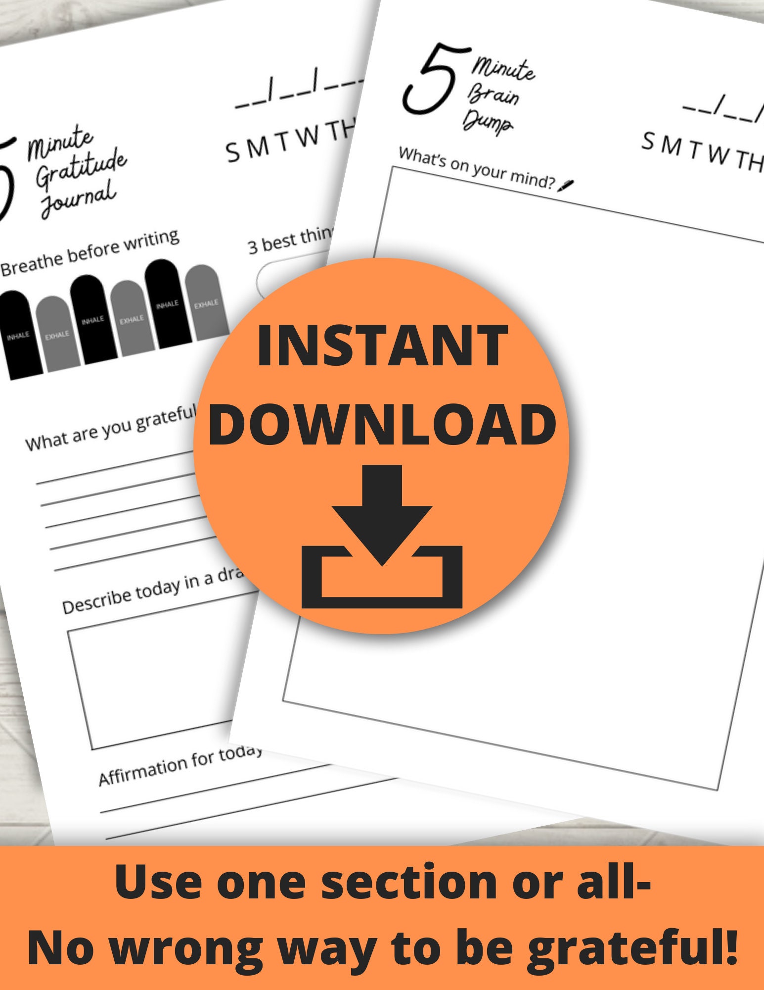 5 Minute Gratitude Journal & Brain Dump Cultivate an Attitude of ...