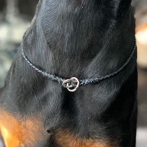 Braided Kangaroo Leather Lace Dog Show Slip Collar - Etsy