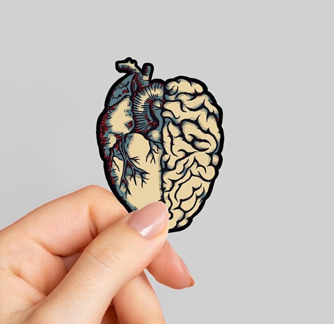 Heart Brain Sticker, Nurse Sticker, Heart Sticker, Brain Sticker ...