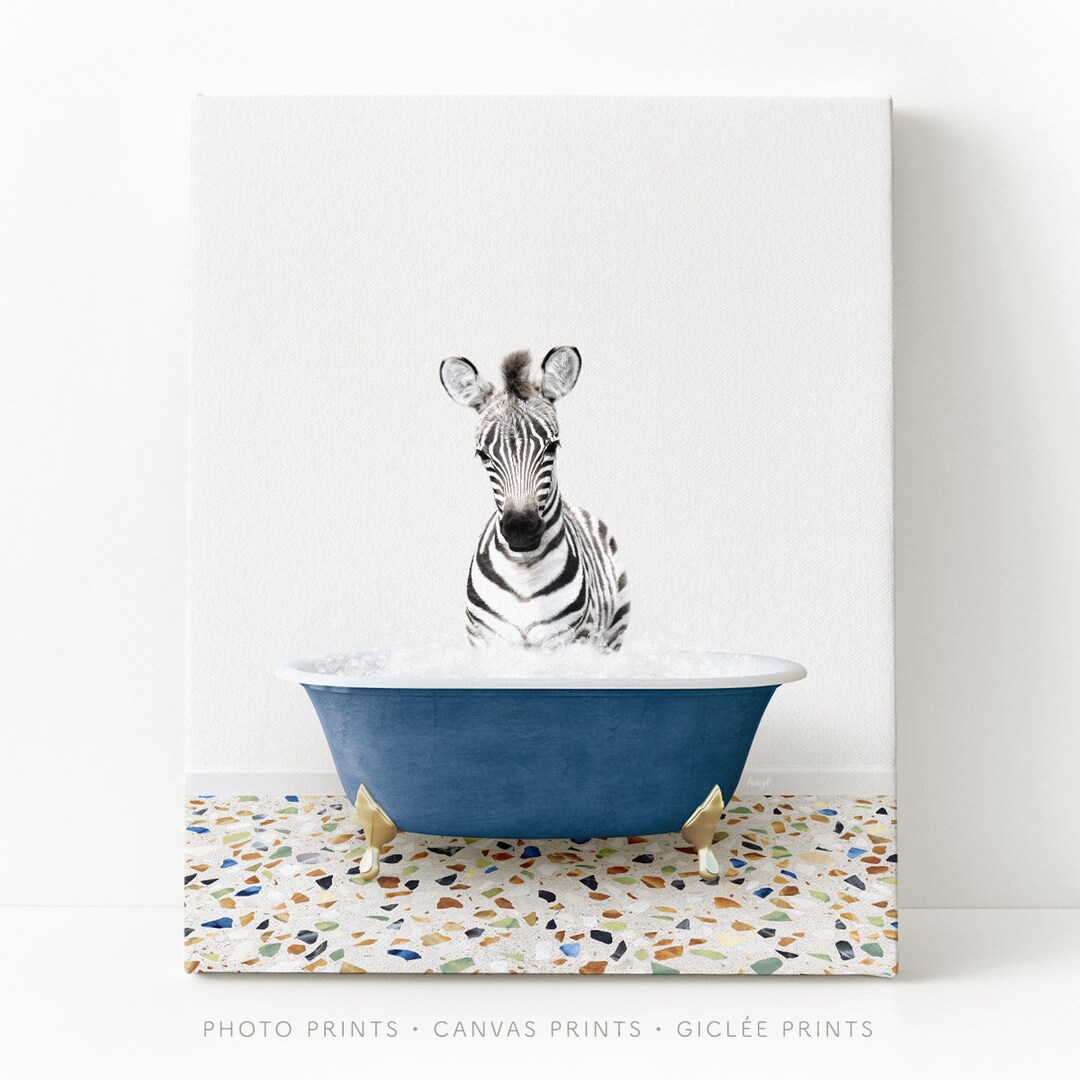 Baby Zebra in Vintage Badewanne stehend, Terrazzo Blue Bad Stil, Tier ...