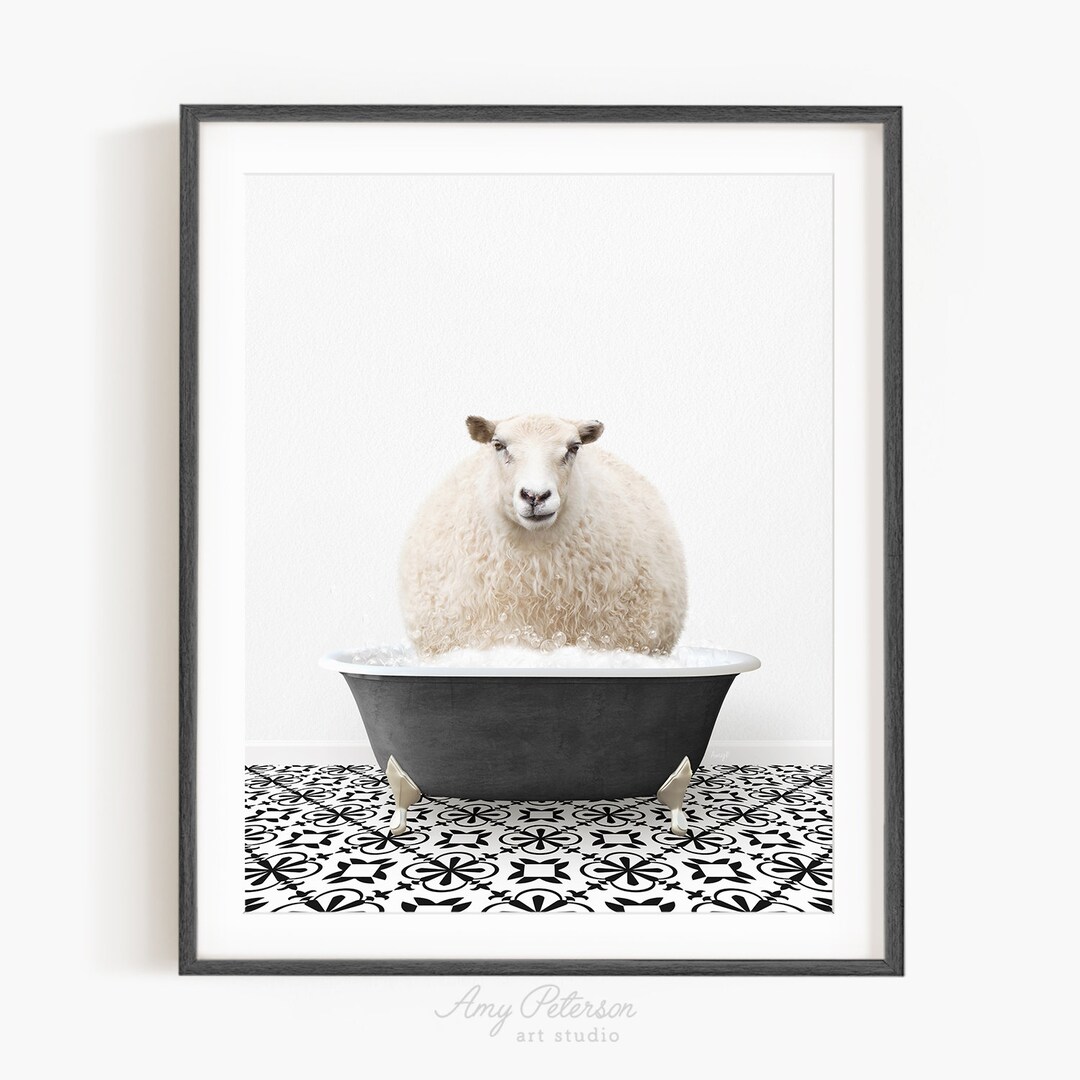 Sheep in Vintage Bathtub, Black and White Bath Style, Farm Animal in ...