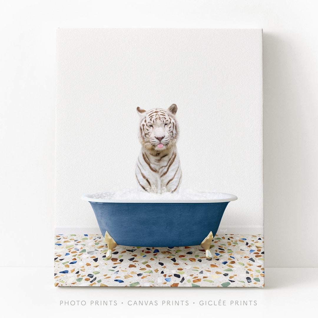 Weißer Tiger Blep in Vintage Badewanne, Terrazzo Blue Badstil, Tier in ...