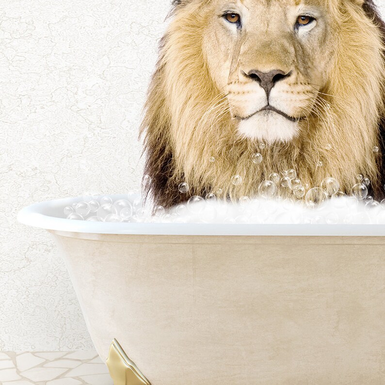 Lion in Vintage Bathtub Bali Bath Style Animal in Tub - Etsy