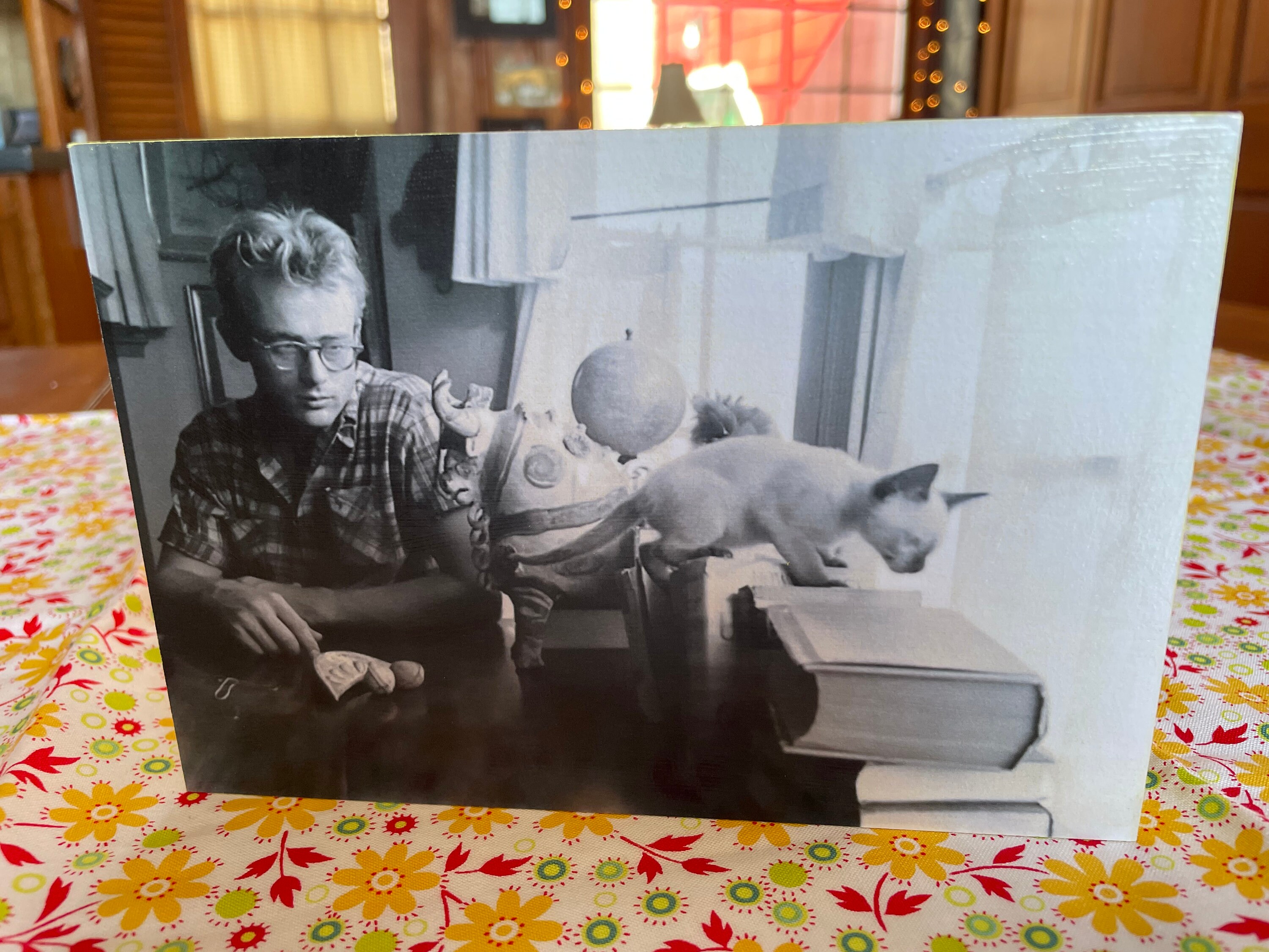 Wholesome Image of James Dean With His Cat Named Marcus - Etsy