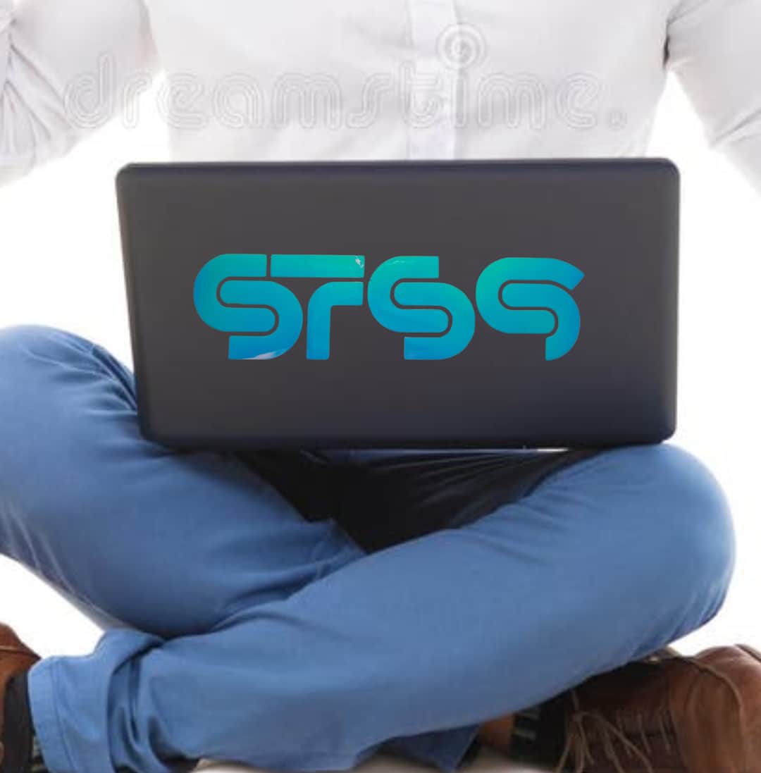 STS9 Decal, Sound Tribe Wall Decal - Etsy