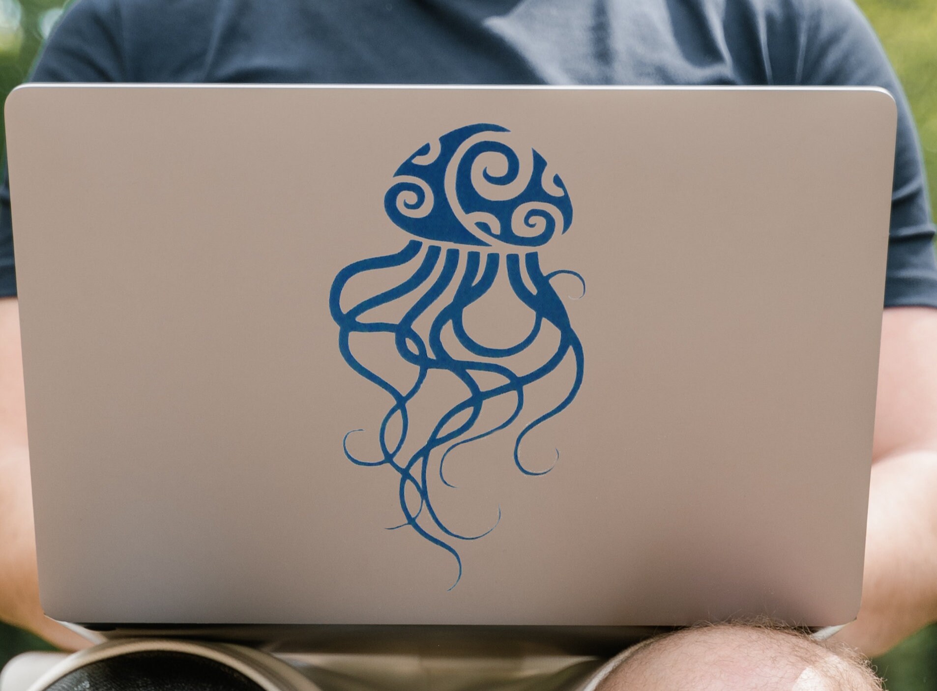 String Cheese Incident (SCI) Decal Set: Laptop, Car, and Wall Stickers ...