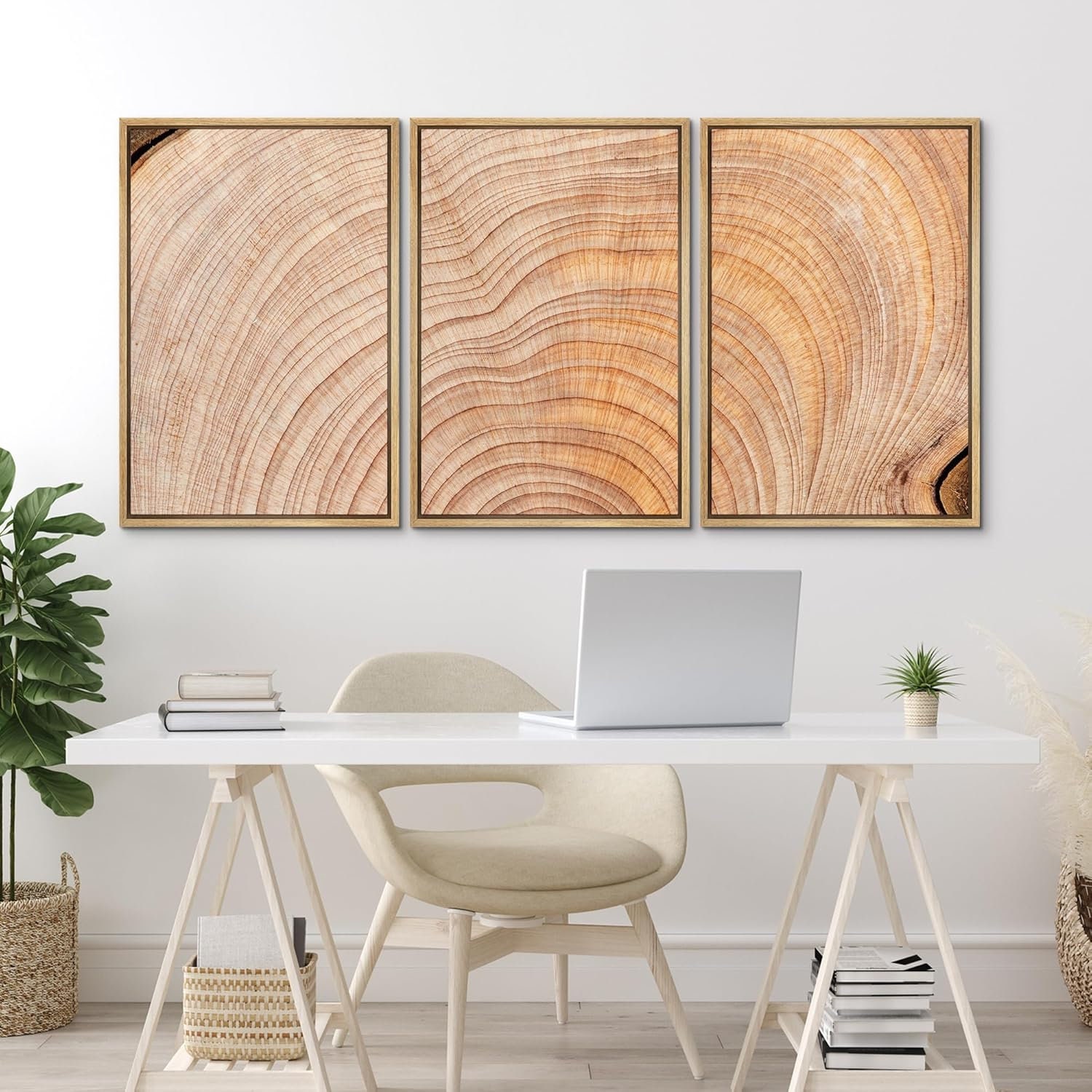 Framed Canvas Wall Art Prints Set of 3 Oak Wood Tree Rings Artwork ...