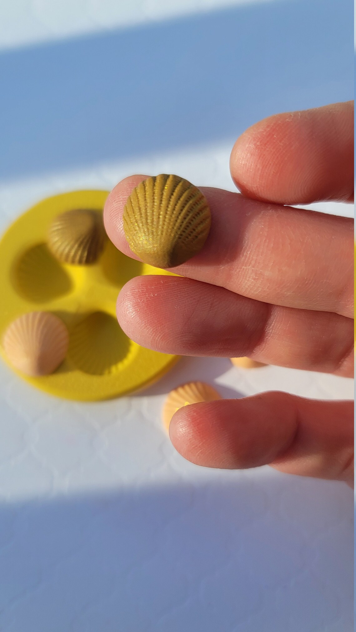 Sea Shells Silicone Mold Shell Mold for Chocolate Mold for - Etsy