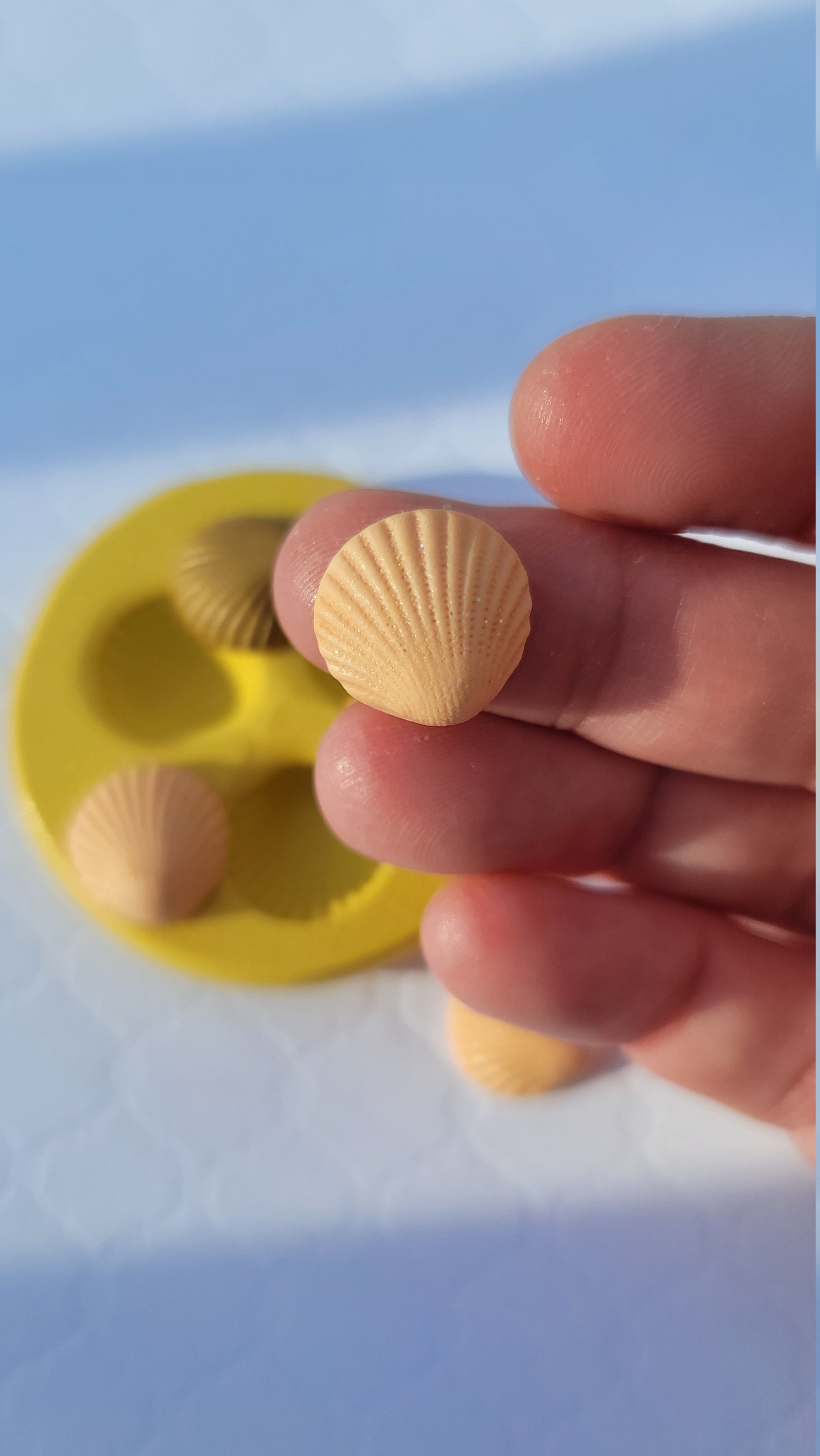 Sea Shells Silicone Mold Shell Mold for Chocolate Mold for - Etsy