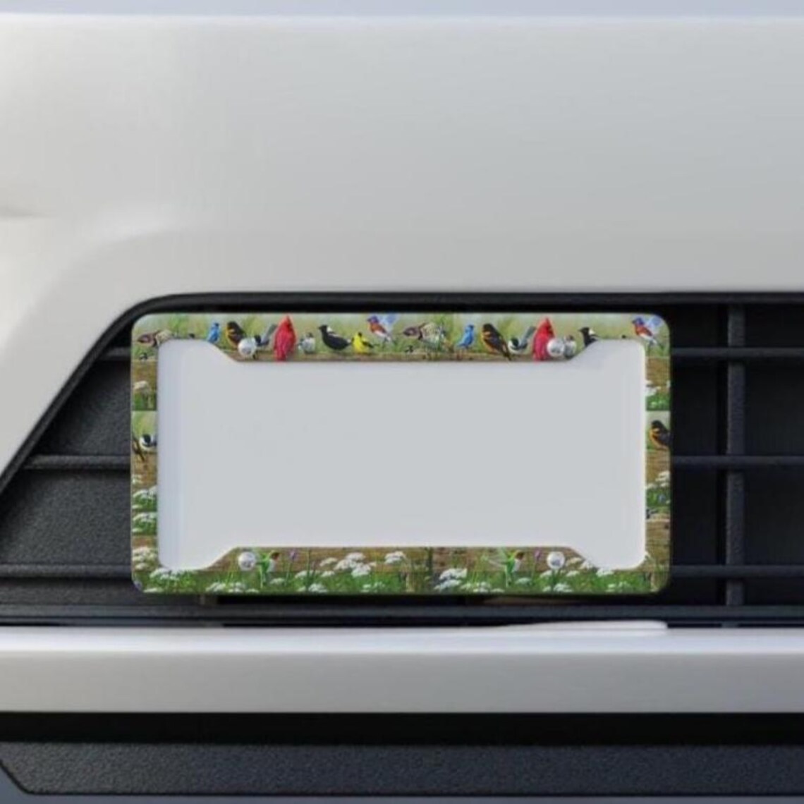 Sweet Tweets- License Plate Frame- Birds License Plate- Birder Car ...