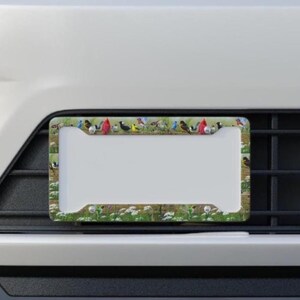 Sweet Tweets- License Plate Frame- Birds License Plate- Birder Car ...