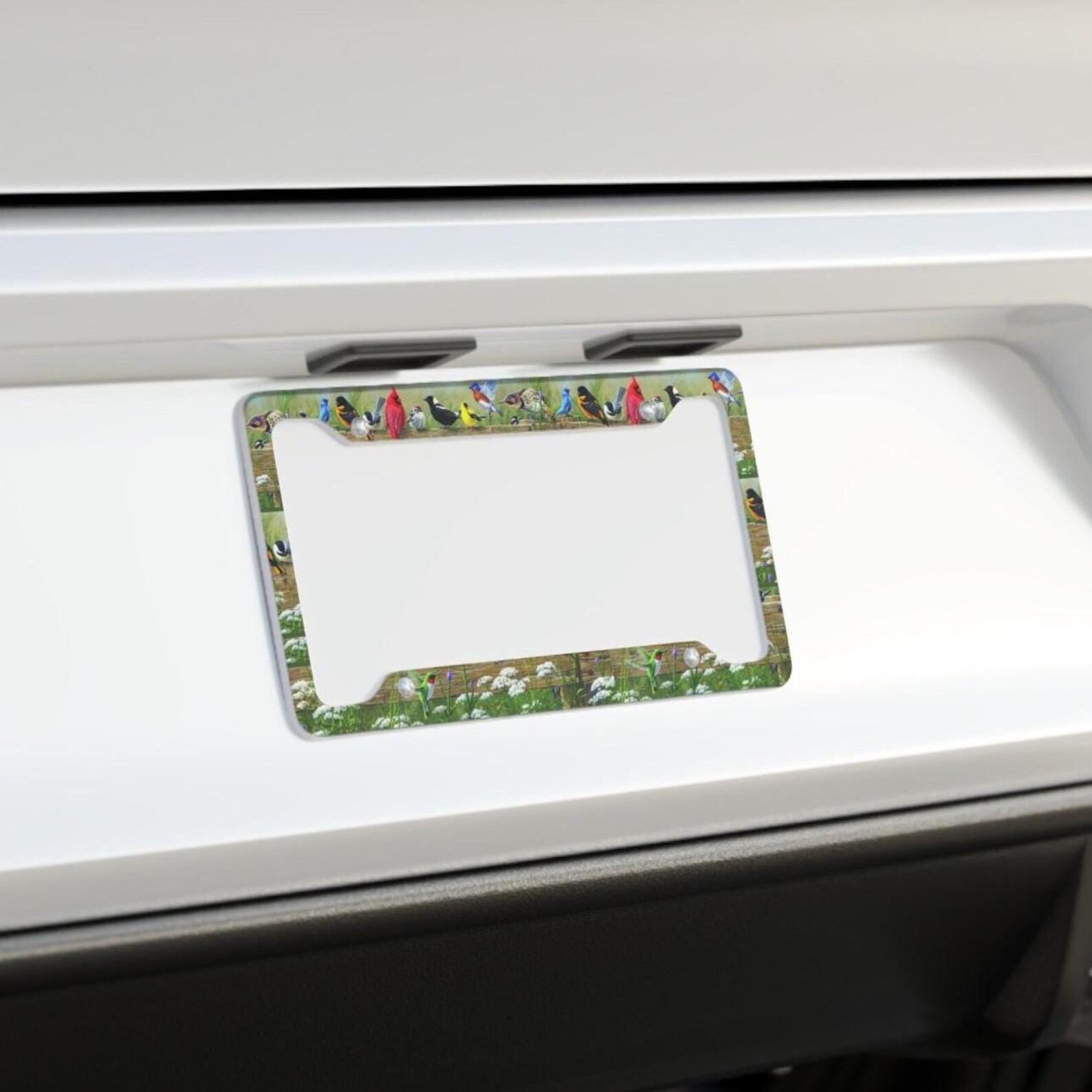 Sweet Tweets- License Plate Frame- Birds License Plate- Birder Car ...