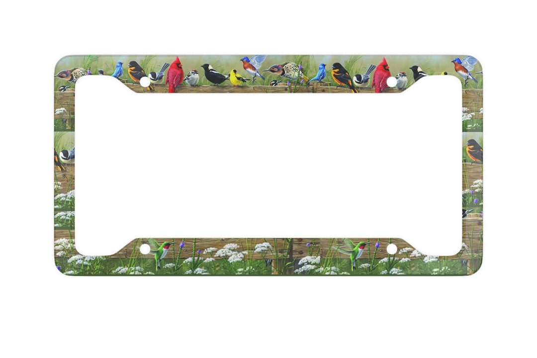 Sweet Tweets- License Plate Frame- Birds License Plate- Birder Car ...