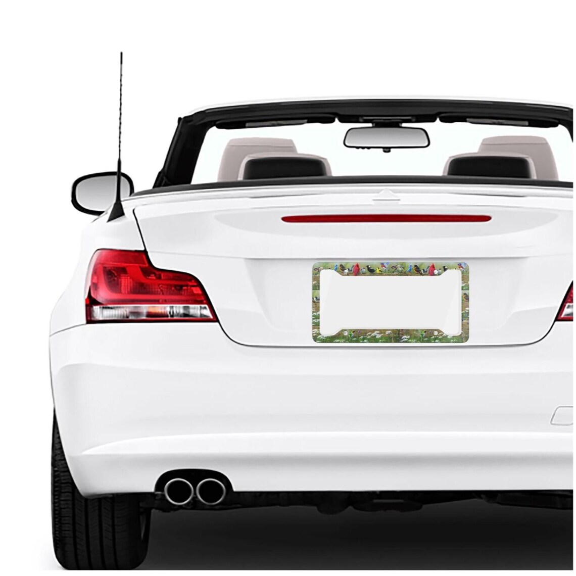 Sweet Tweets- License Plate Frame- Birds License Plate- Birder Car ...