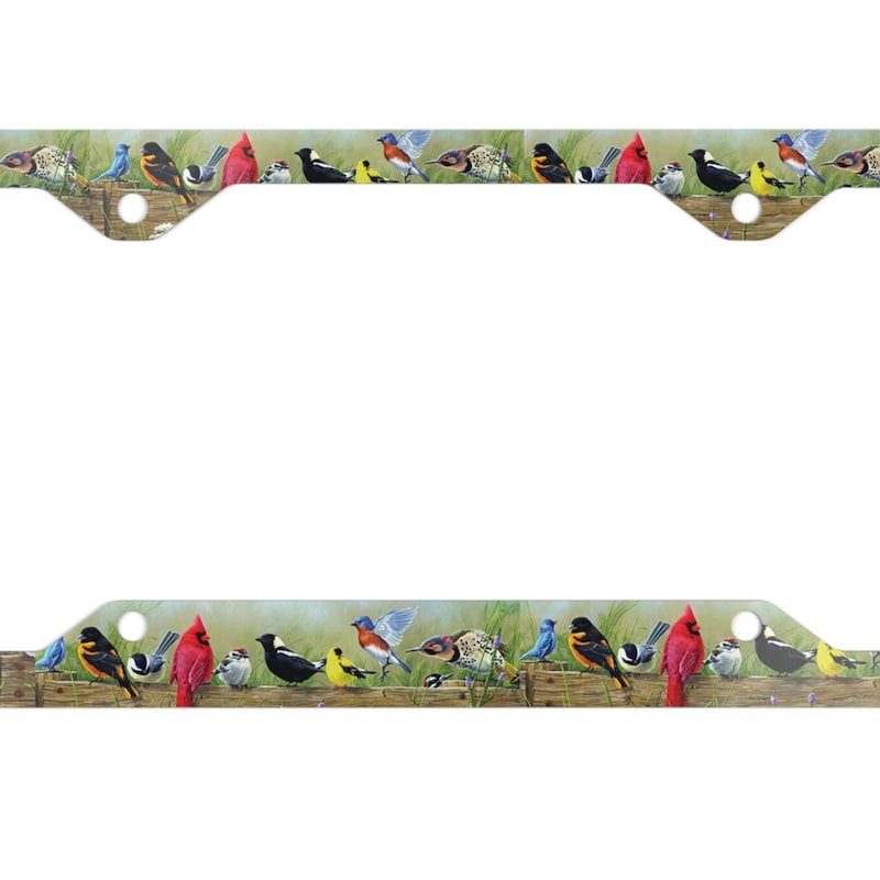 Cute License Plates - Etsy