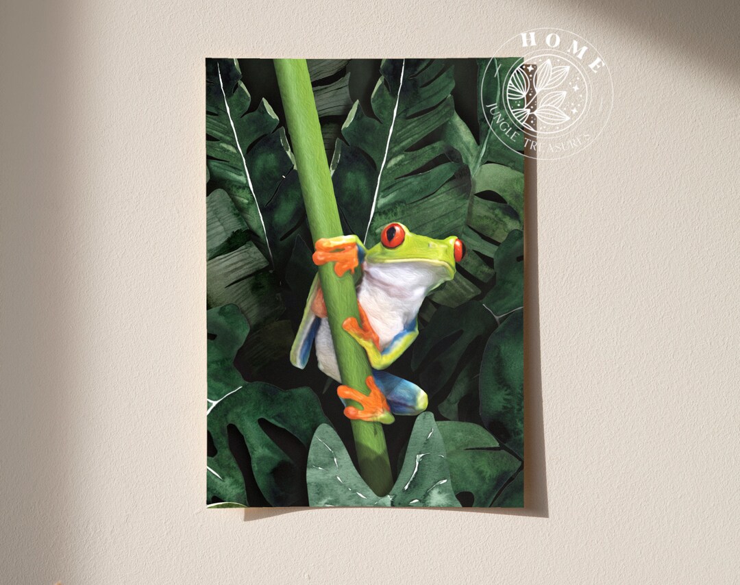 Poster "red Eyed Tree Frog", Rainforest Artwork for Boho Living Room ...