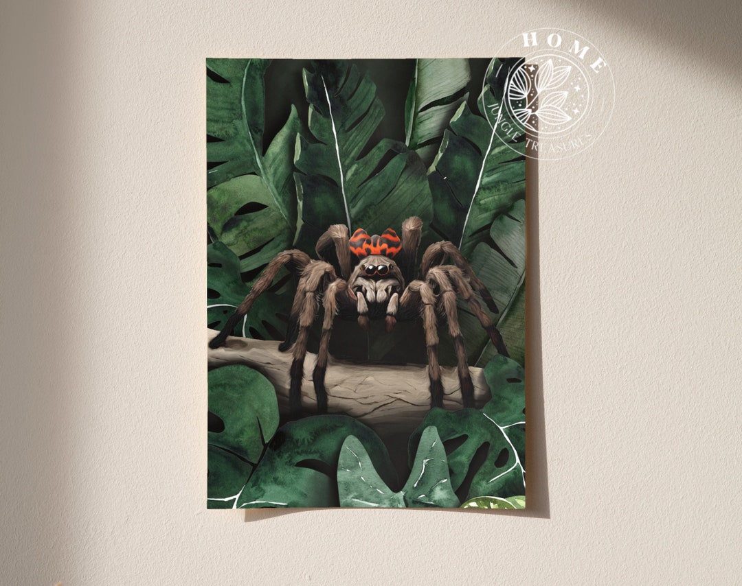 Poster "tarantula Spider", Rainforest Artwork for Boho Living Room ...