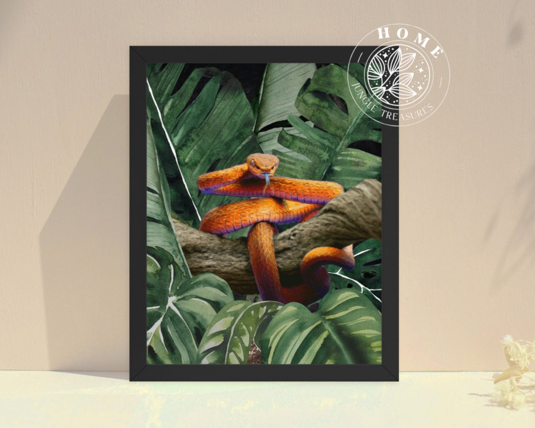 Snake Wall Art Framed, Rainforest Artwork for Boho Living Room, Perfect ...