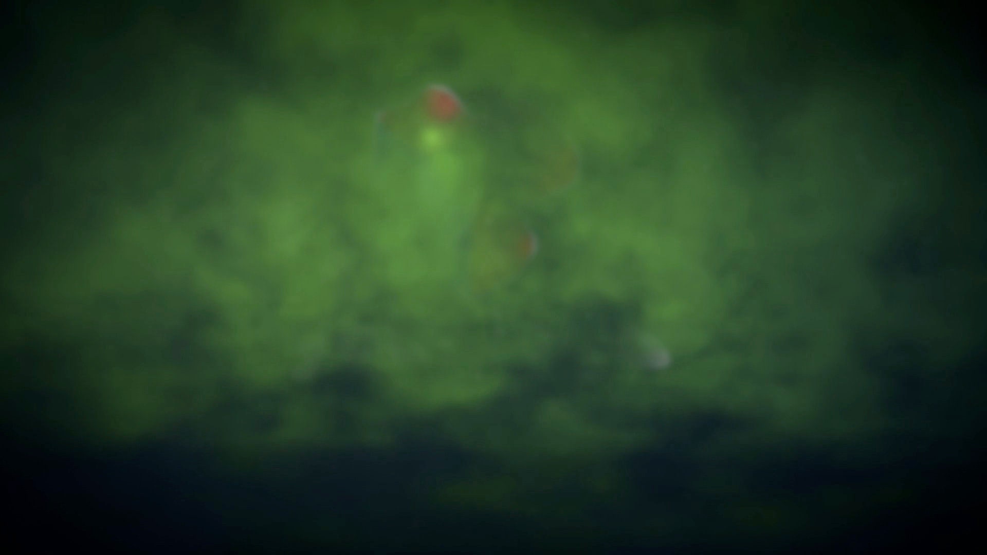 Mysterious Fog Logo Reveal Customizable Animation for Twitch, Youtube ...