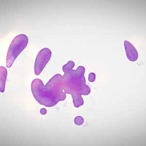 Custom Color Jelly Splash - Reveals Logo, Custom Color and Text for ...