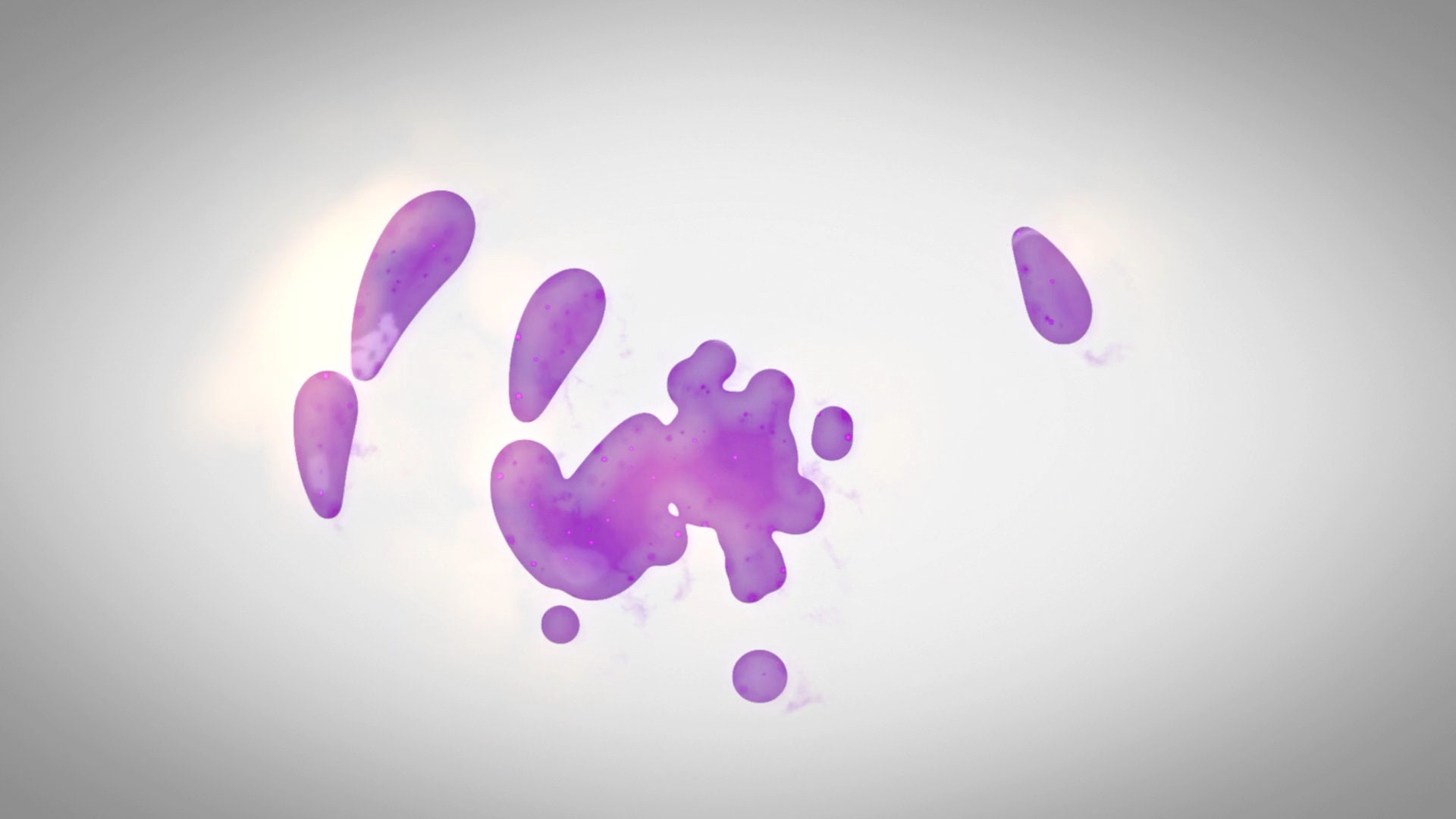 Custom Color Jelly Splash - Reveals Logo, Custom Color and Text for ...
