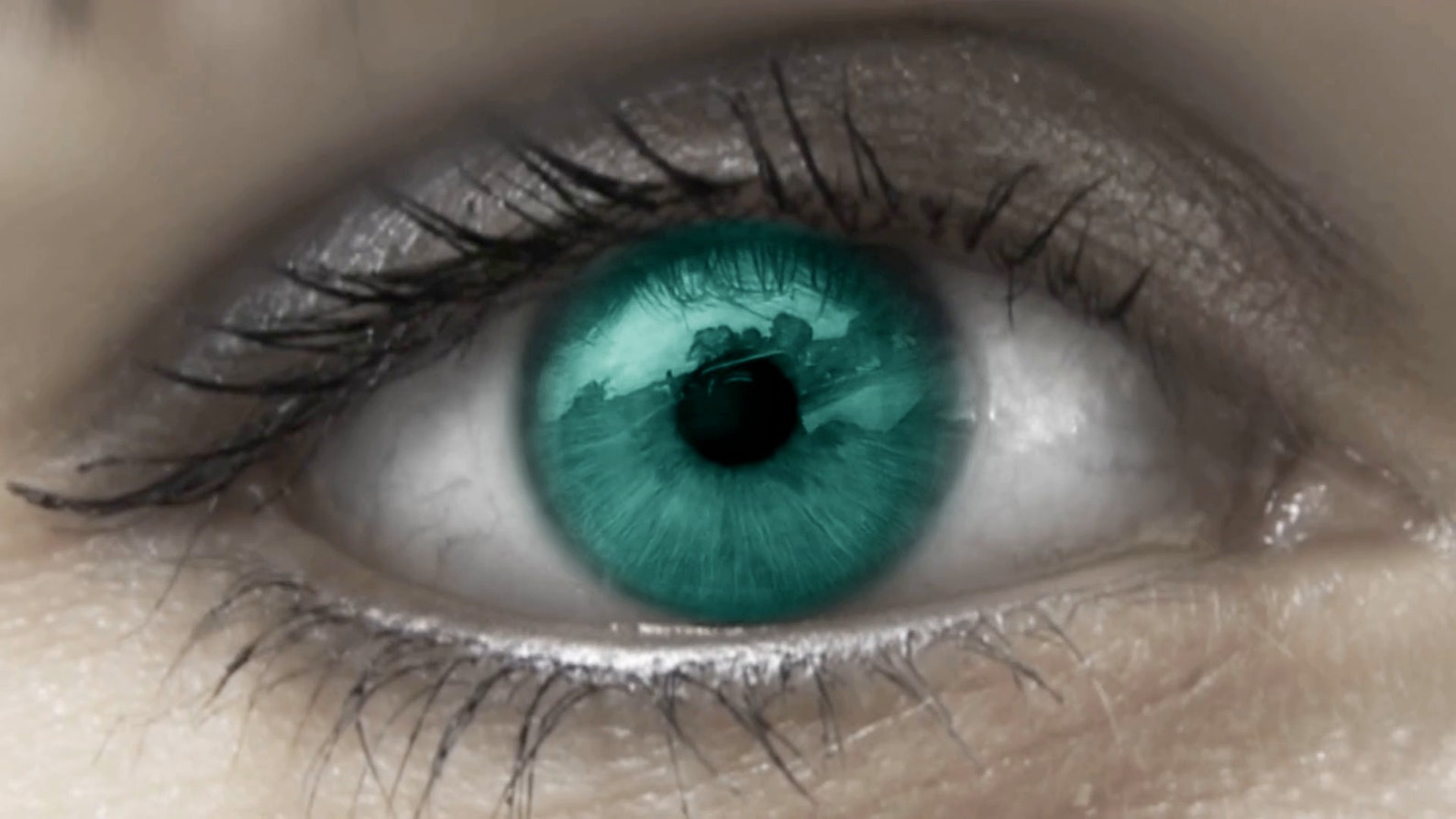 Seamless Animated Eye Zoom Transition With Alpha Channel and Sound for ...