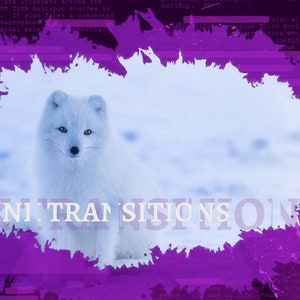 Ink Transition Top Secret Animation Insert Your Text for Your Streaming ...