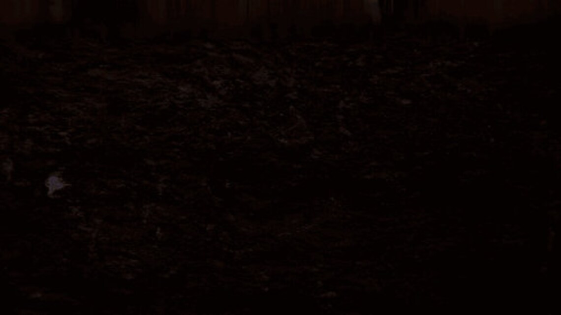 Twitch Overlay Stream Paused Animation Inspired With Street Graffiti ...