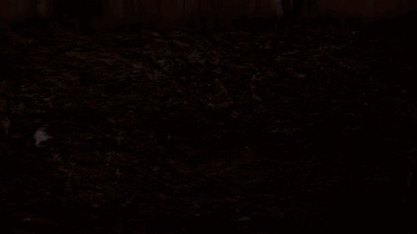 Twitch Overlay Stream Paused Animation Inspired With Street Graffiti ...