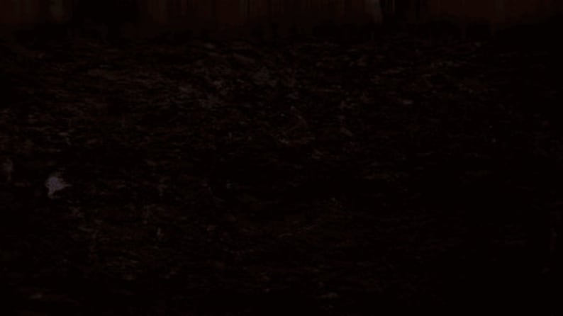 Twitch Overlay Stream Paused Animation Inspired With Street Graffiti ...