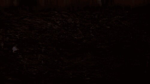 Twitch Overlay Stream Paused Animation Inspired With Street Graffiti ...