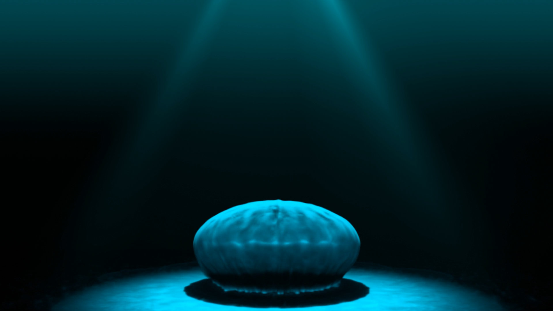 Smoke Bomb Puff Animated Logo Reveal Stinger - Logo Reveals in the ...