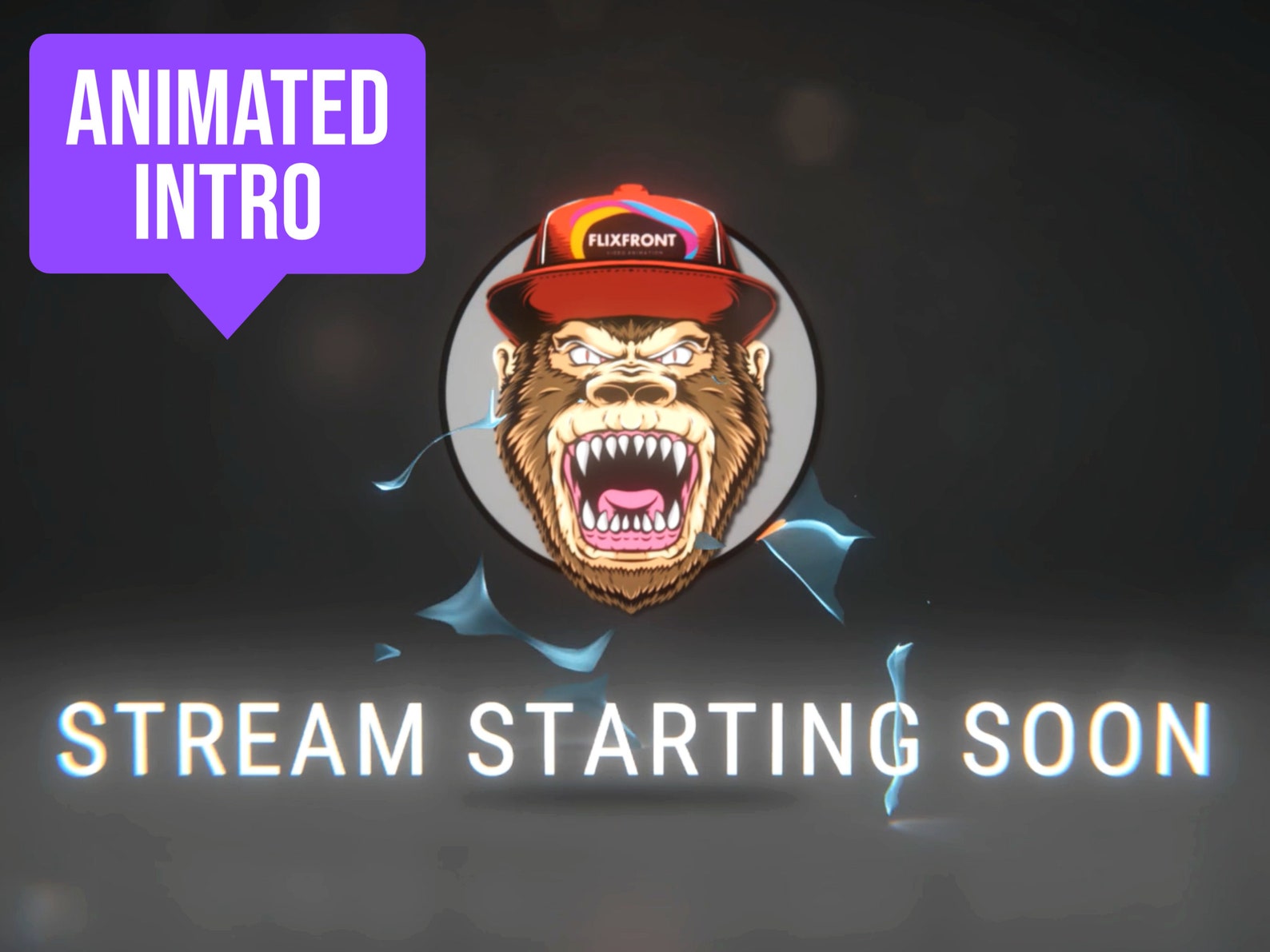 Customizable Intro for Twitch starting Soon Gaming Style - Etsy