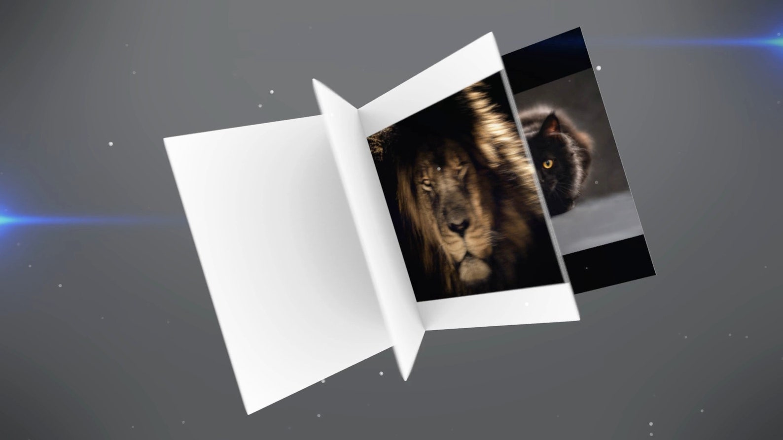 Photo Album Flipping With Your Photos Logo Animation Impress Your ...
