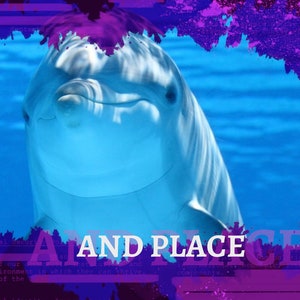 Ink Transition Top Secret Animation Insert Your Text for Your Streaming ...