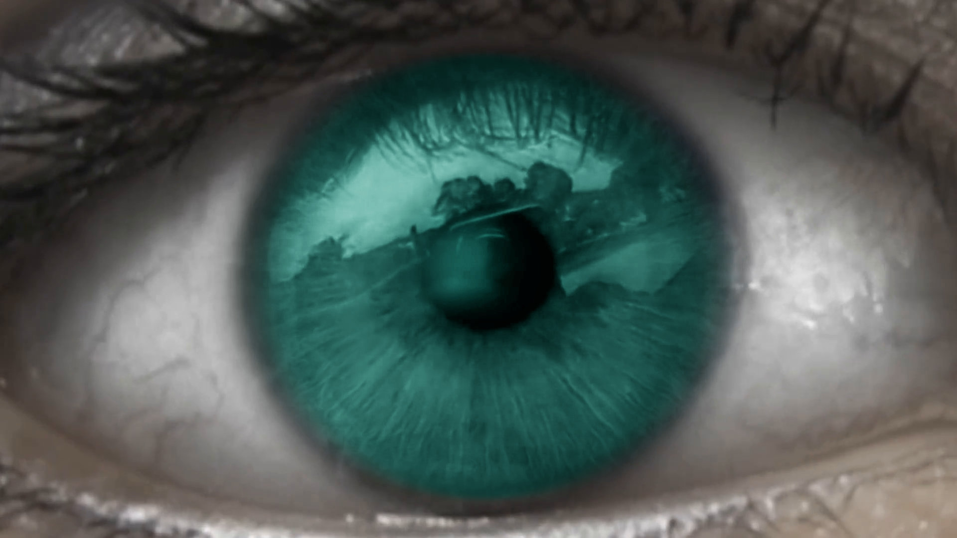 Seamless Animated Eye Zoom Transition With Alpha Channel and Sound for ...