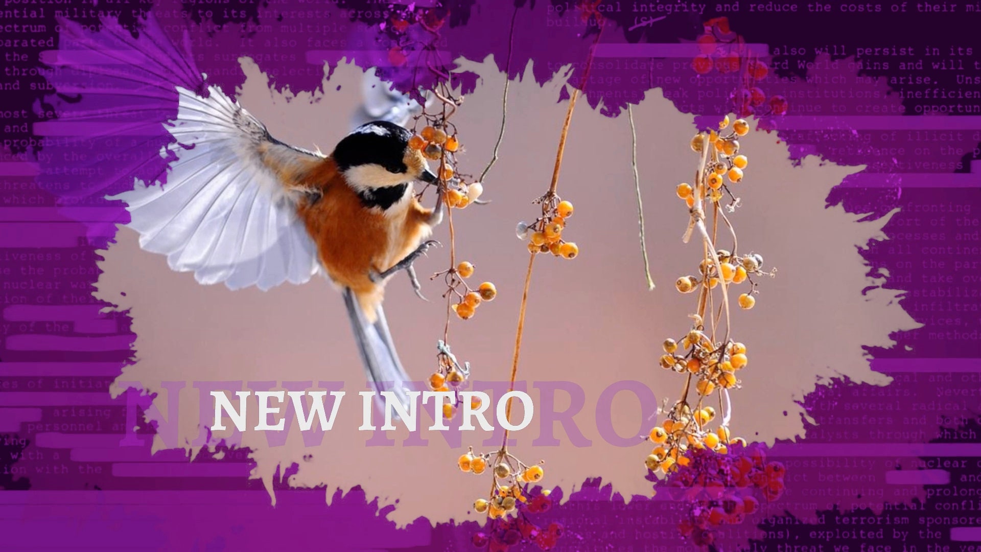 Ink Transition Top Secret Animation Insert Your Text for Your Streaming ...