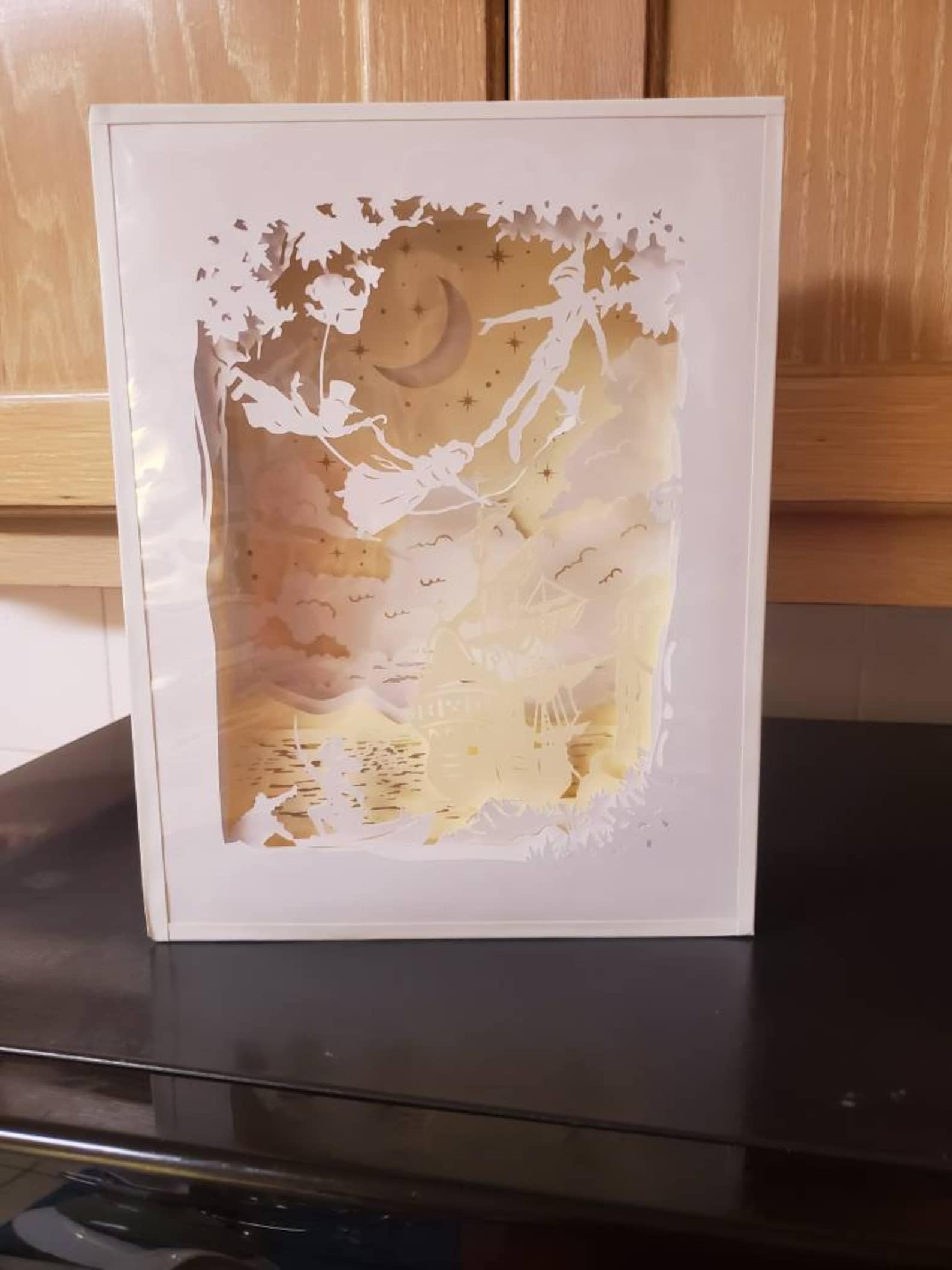 Lights Included 11x8.5 Peter Shadow Box finished Physical - Etsy