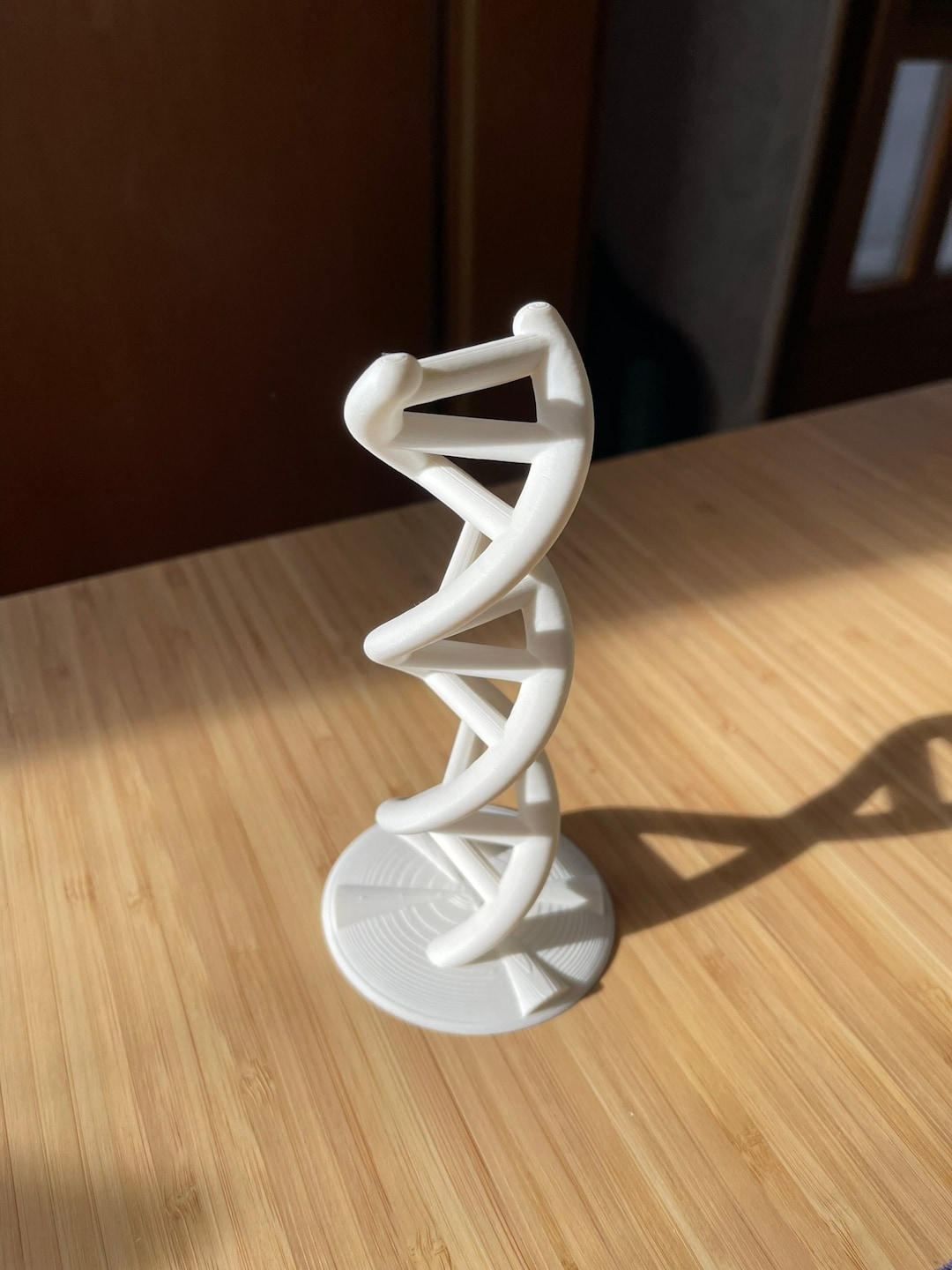 3D Printed DNA Model | X-ray Diffraction Inspired | Learning Tool and Gift for Science ...